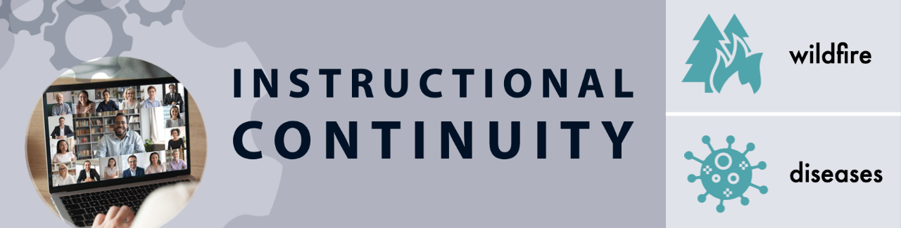 ETS - Instructional Continuity Resources | myUSF